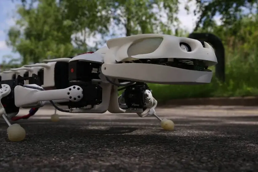 Animales robots: una mirada al entorno de la biorobótica | Makeblock